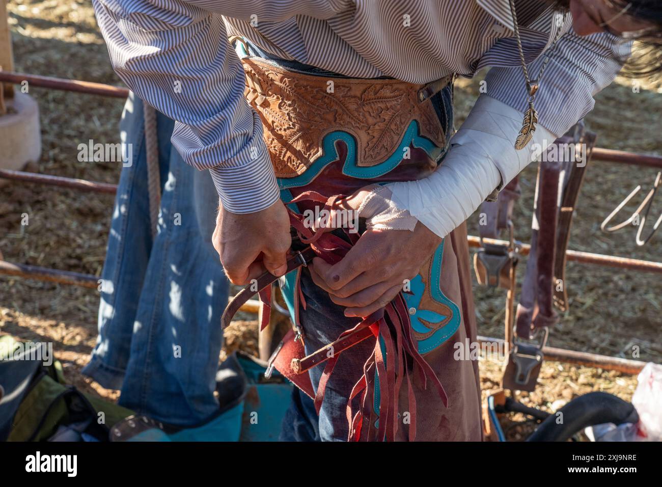 A rodeo cowboy puts on his leather chaps before his bareback bronc ride ...