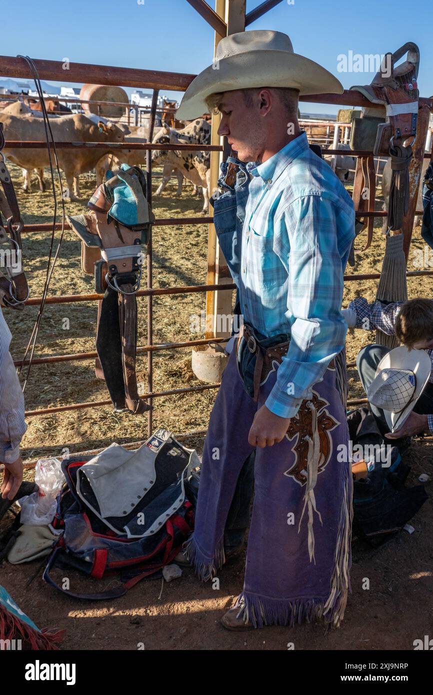 A bareback rodeo cowboy getting ready for his ride in a rodeo in a ...