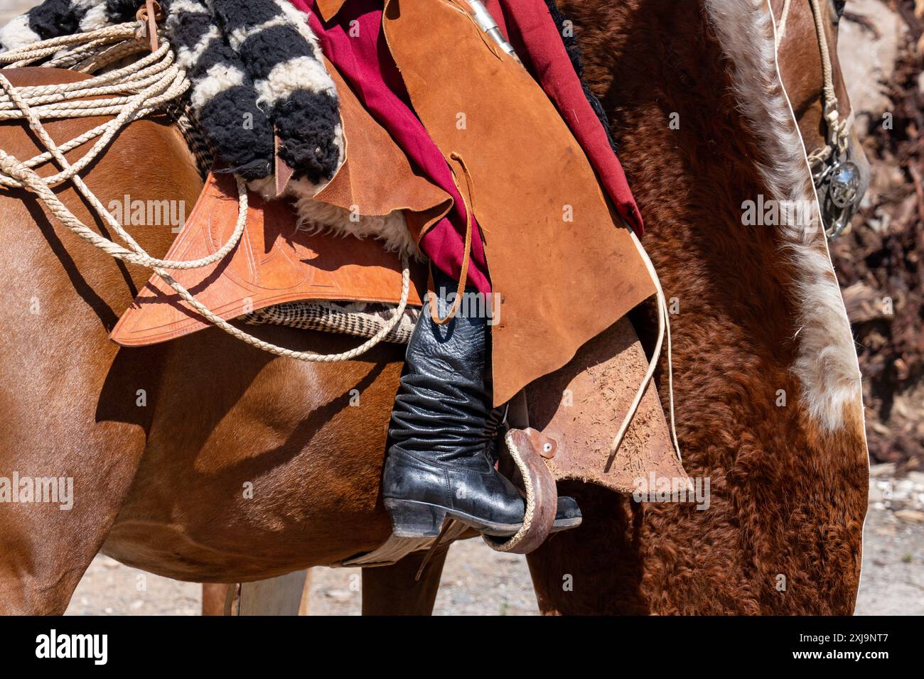 Leather chaps hi-res stock photography and images - Alamy
