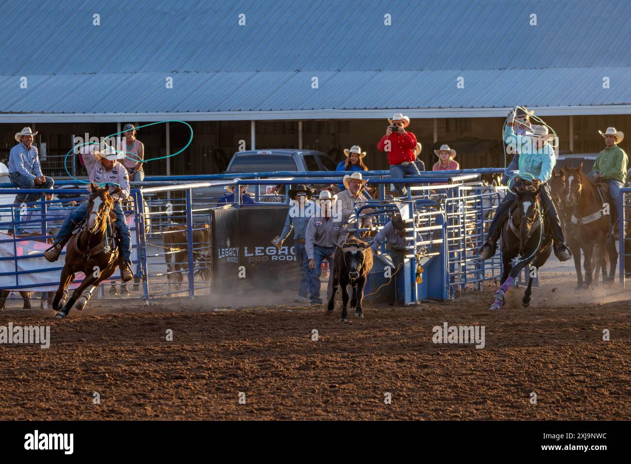 Ropers chase a calf in the team roping event in a rodeo in a small town ...