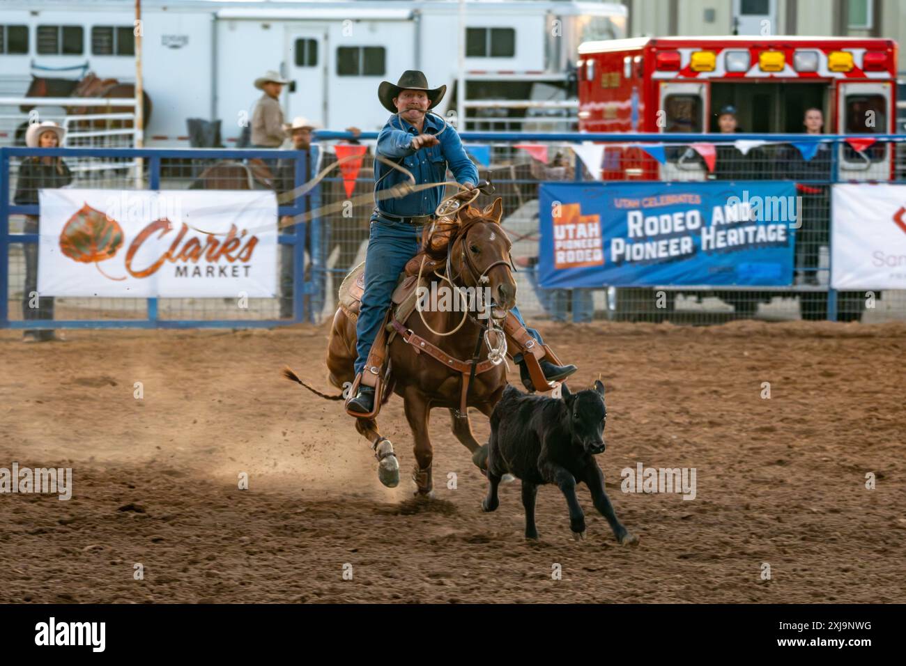 A rodeo cowboy drops the lariat on the calf in the tie-down roping ...