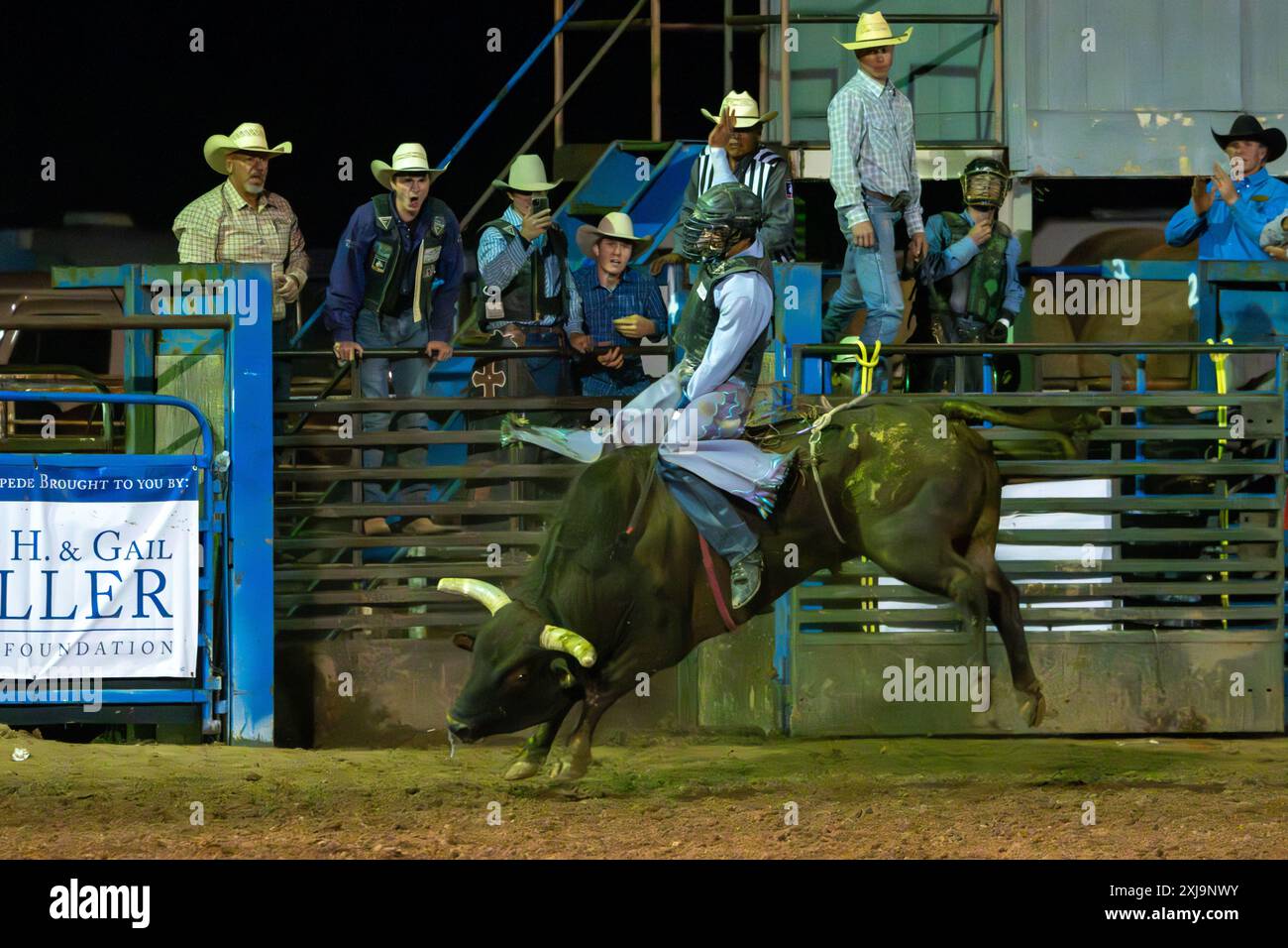 A professional rodeo cowboy rides a bull in a rodeo in a small town in ...