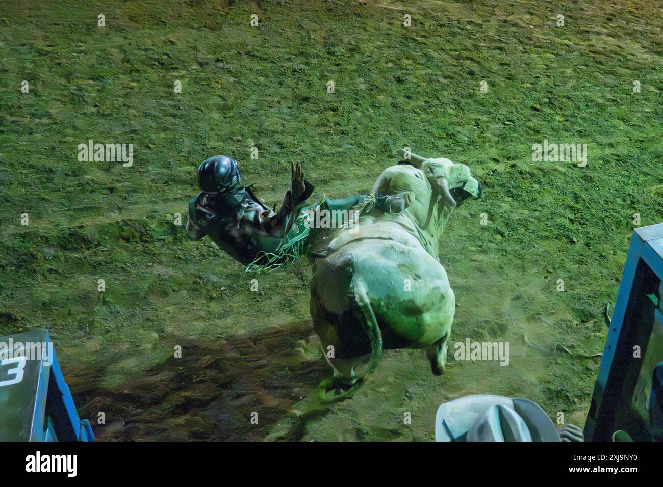 A professional rodeo cowboy gets bucked off a bull the bull riding ...