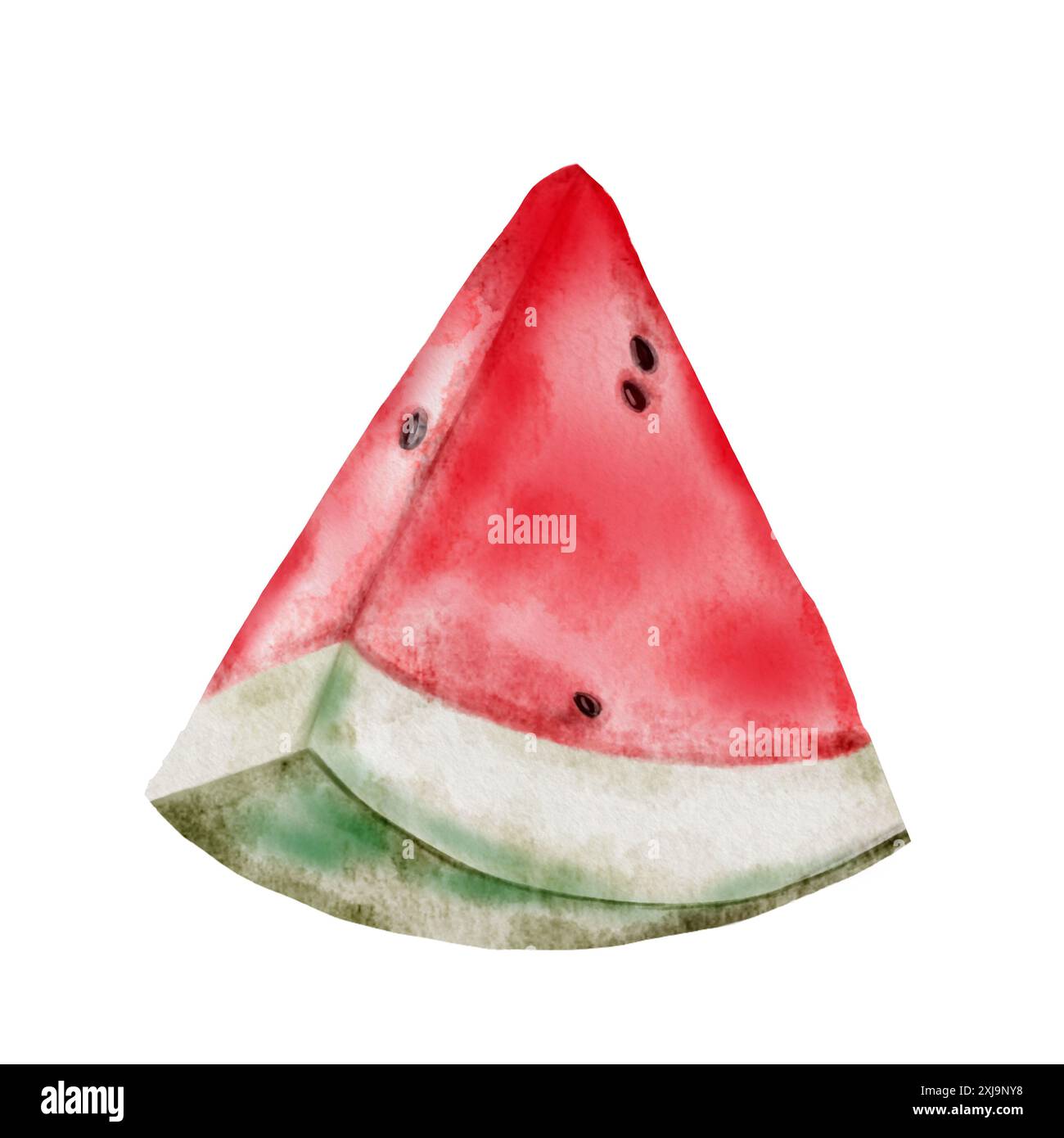 Watermelon slice watercolor. Juicy fruit hand drawing on isolated white ...
