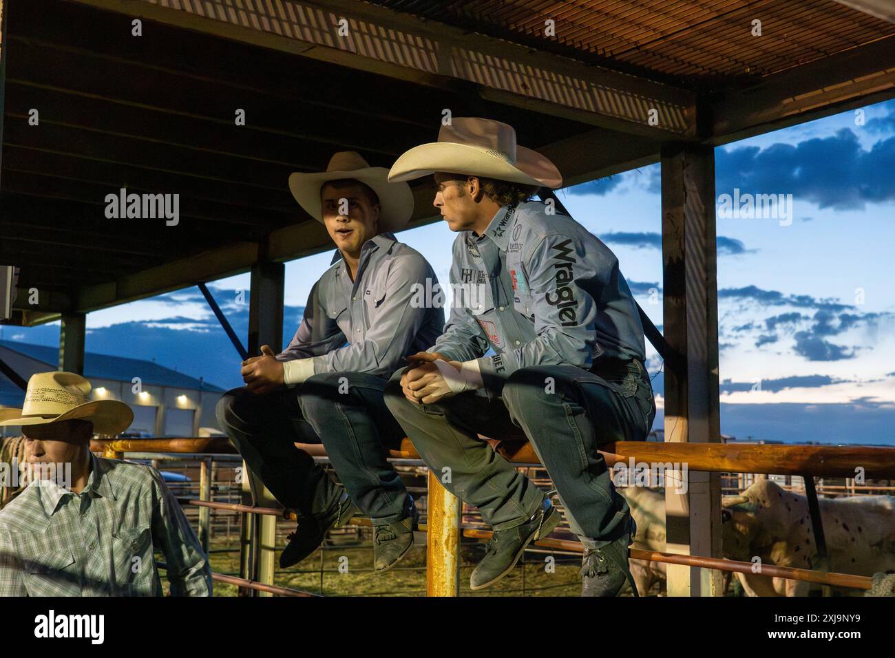 Cowboys on fence hi-res stock photography and images - Alamy
