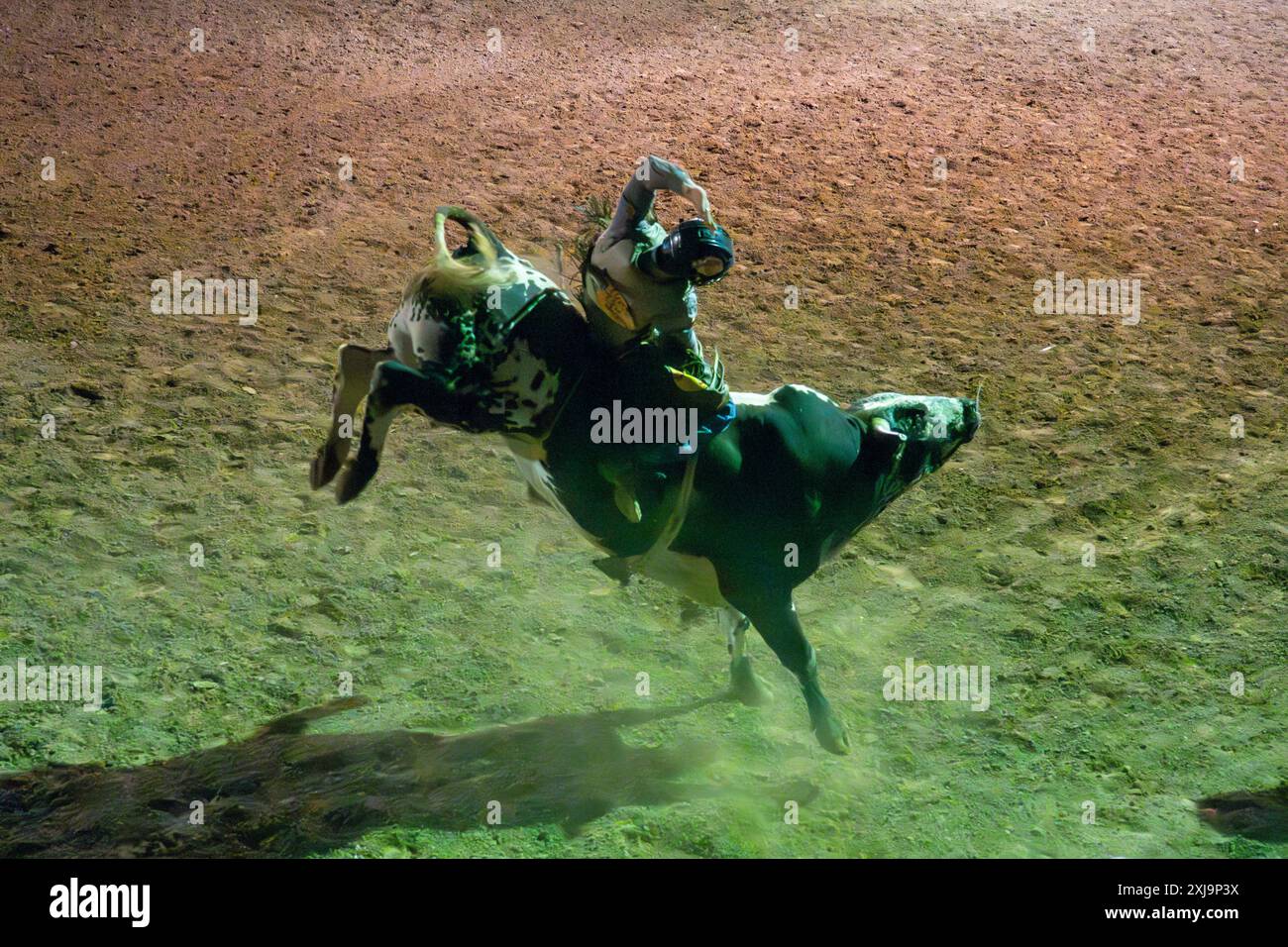 A professional rodeo cowboy rides a bull in a rodeo in a small town in ...
