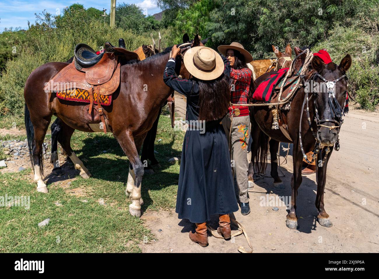 A female gaucho in traditional dress getting ready to ride sidesaddle ...
