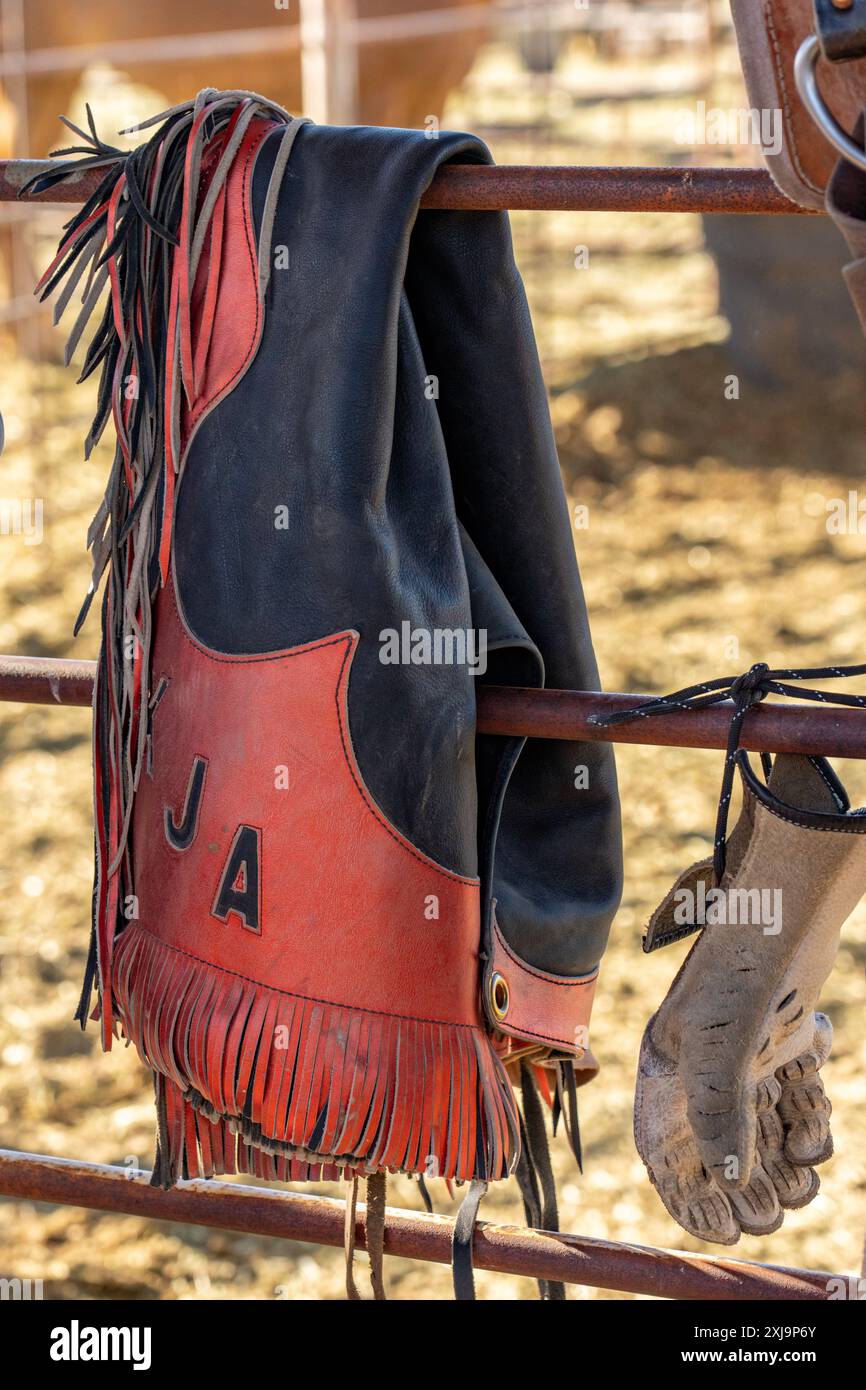 A bareback bronc cowboy's leather glove and chaps hang on a fence at a ...