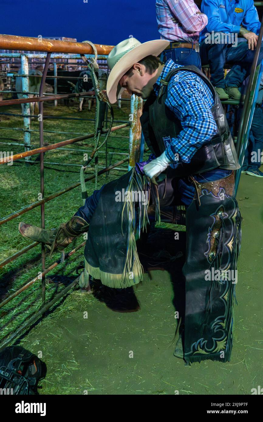 A rodeo cowboy bull rider puts on his leather chaps before his ride in ...