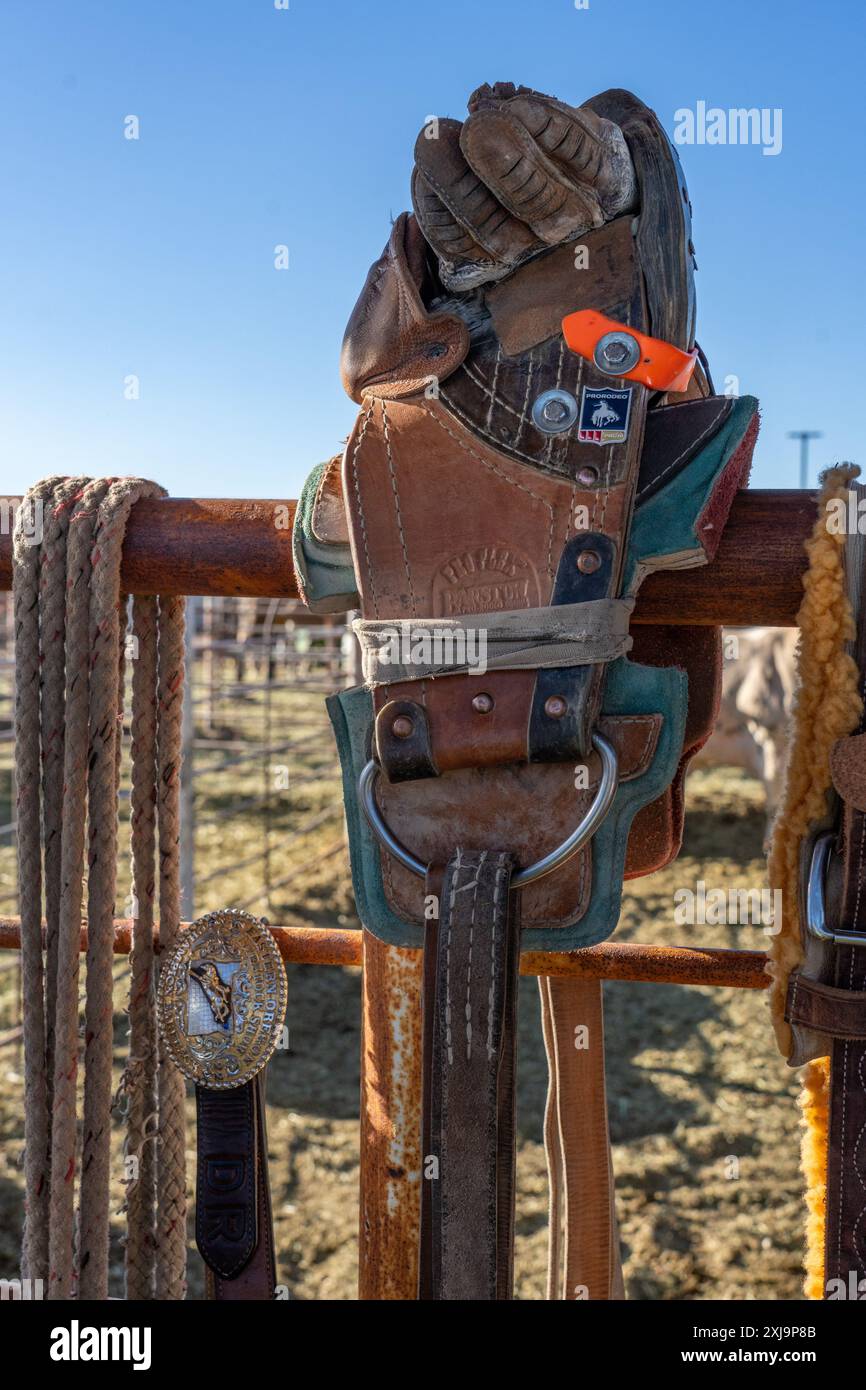 Bareback rigging and special leather glove for the bareback bronc event ...