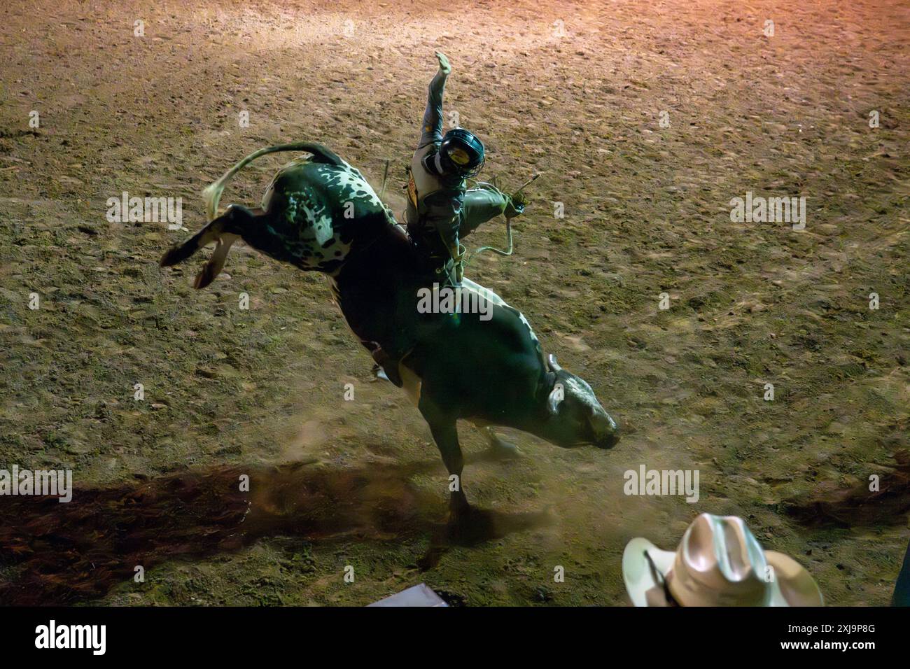 A professional rodeo cowboy rides a bull in a rodeo in a small town in ...