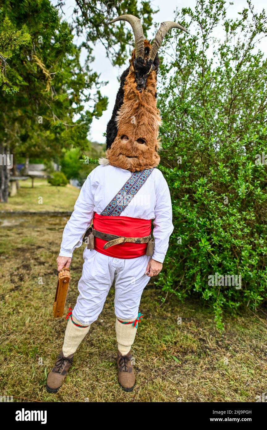 In the Toros y Guirrios celebration of Velilla de la Reina, León, Spain ...