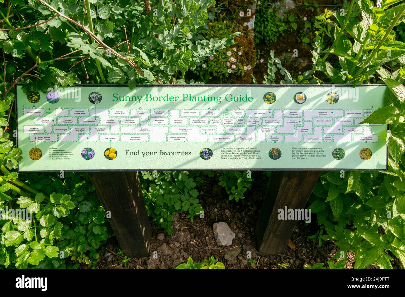 Sunny Border Planting Guide sign, Dartington Hall gardens, Dartington ...