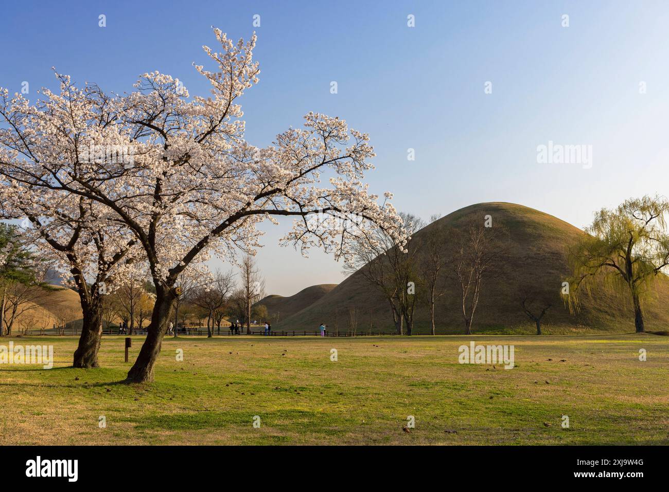 Daereungwon Tomb Complex, UNESCO World Heritage Site, Gyeongju, South ...