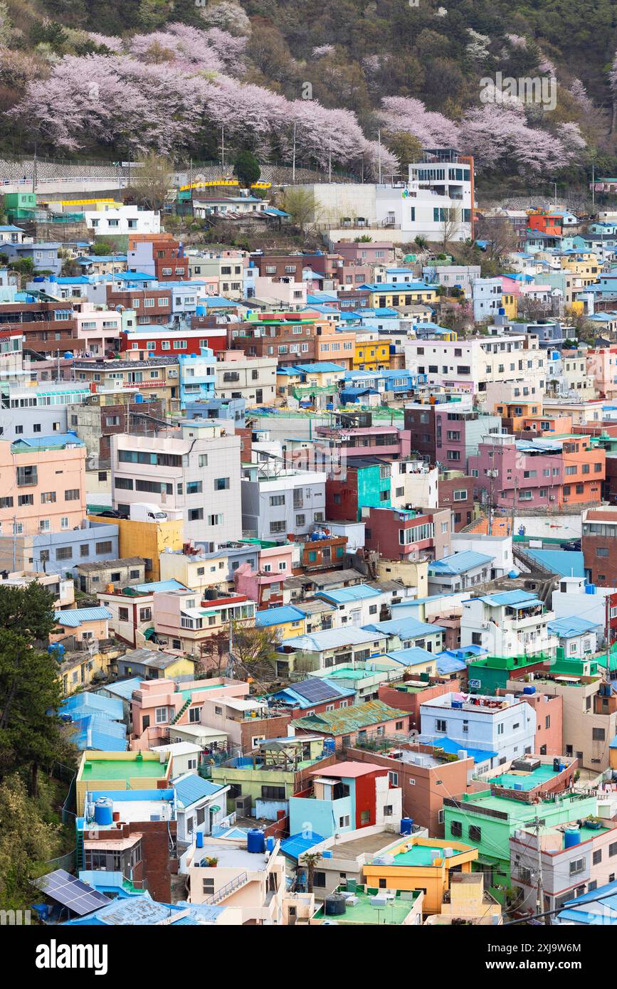Colourful houses of Gamcheon Culture Village, Busan, South Korea, Asia ...