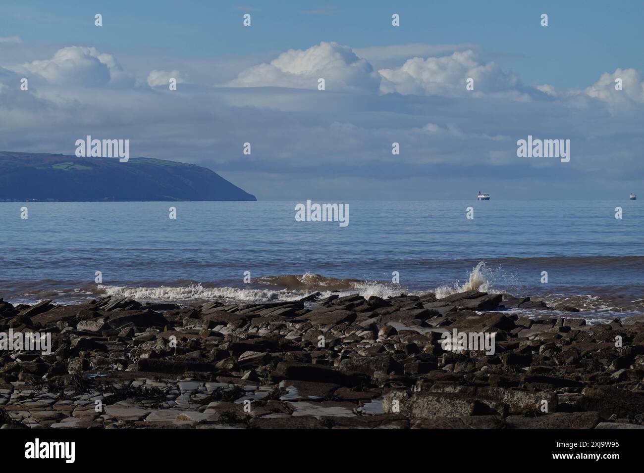 The intertidal zone of the Quantock Coast, containing an abundance of ...