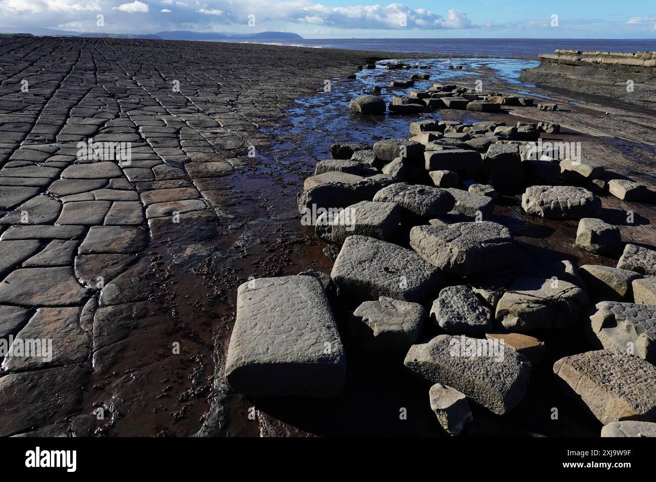 The intertidal zone of the Quantock Coast, containing an abundance of ...