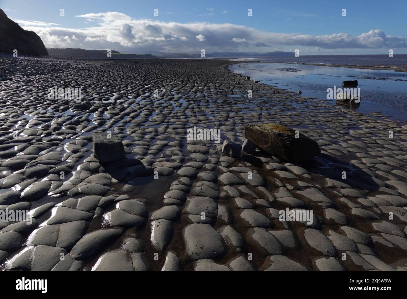 The intertidal zone of the Quantock Coast, containing an abundance of ...