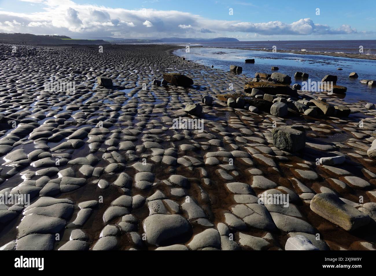 The intertidal zone of the Quantock Coast, containing an abundance of ...