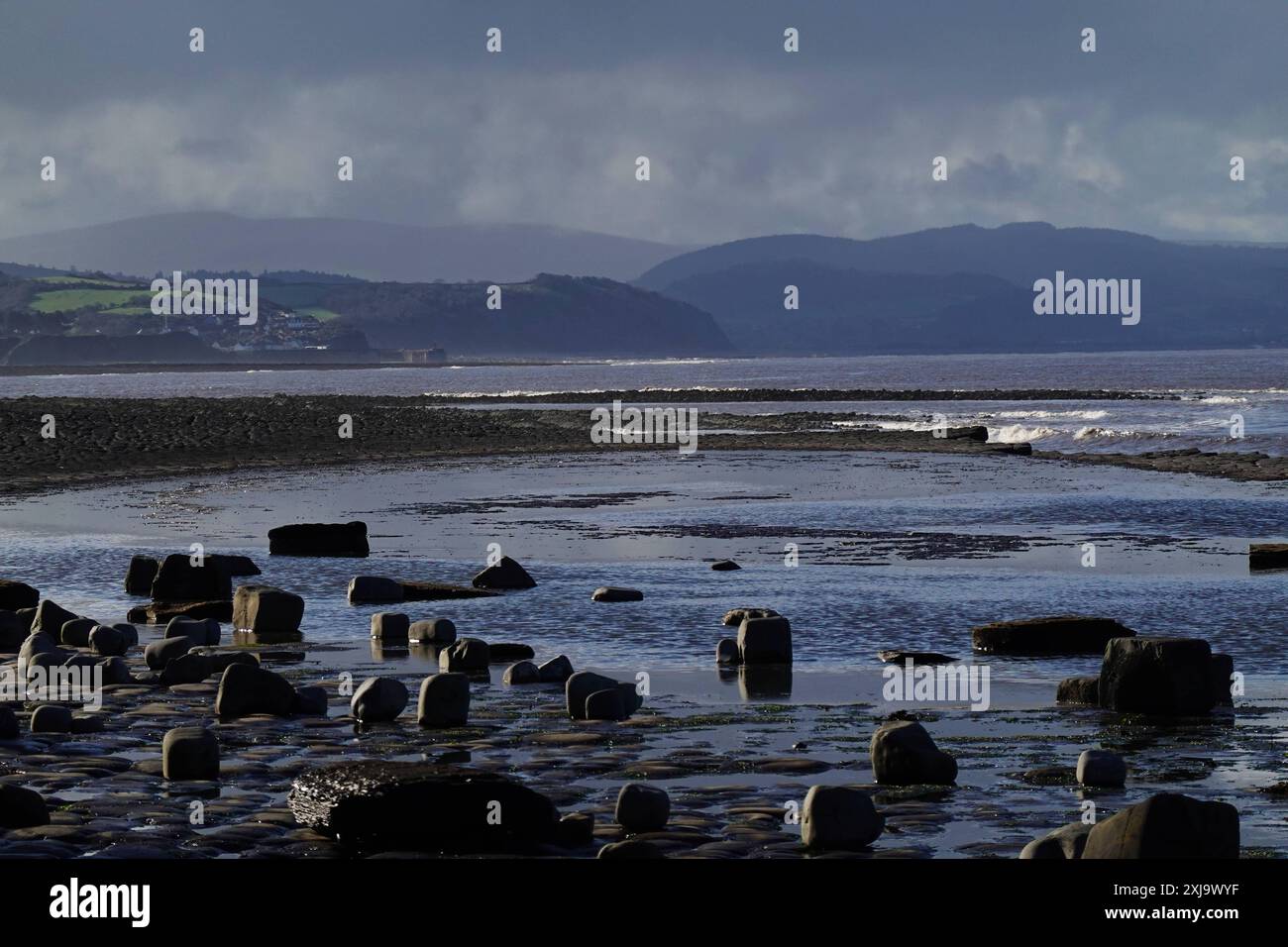 The intertidal zone of the Quantock Coast, containing an abundance of ...