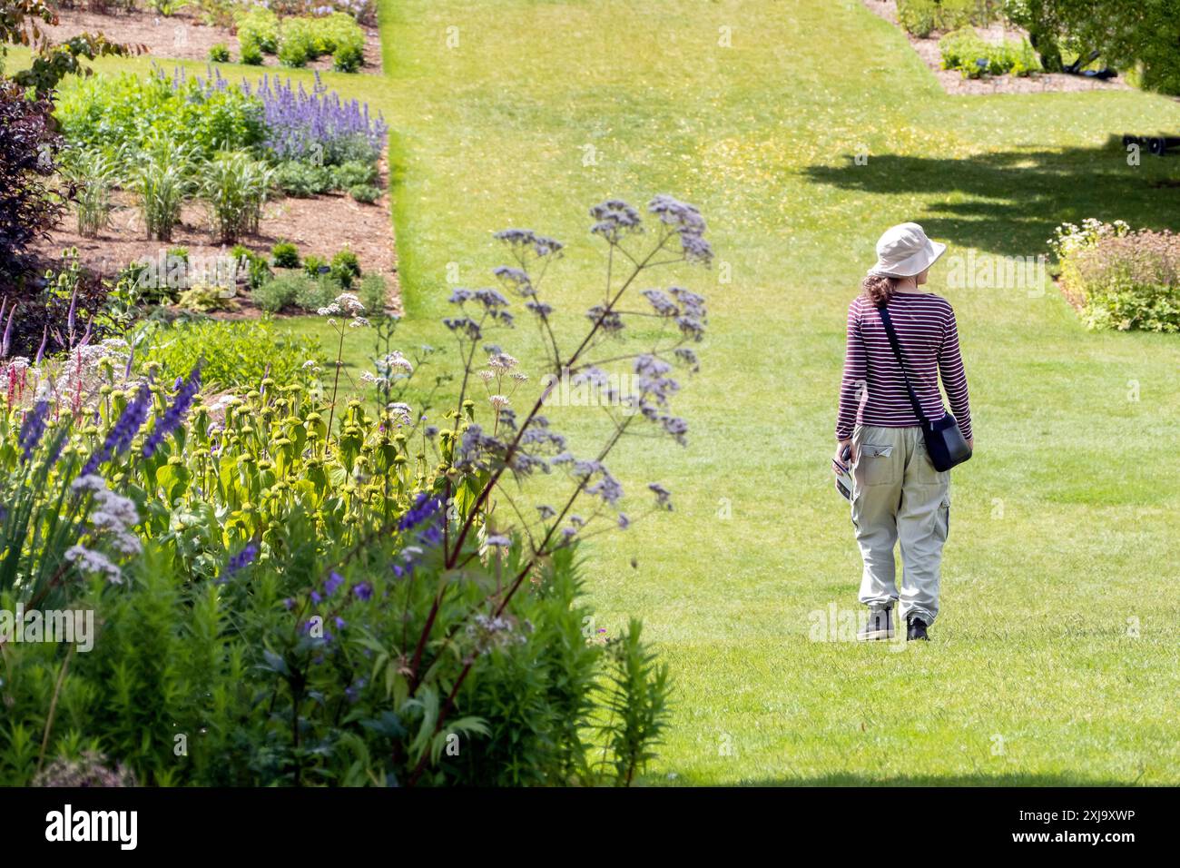 RHS Harlow Carr gardens Harrogate North Yorkshire UK Stock Photo - Alamy