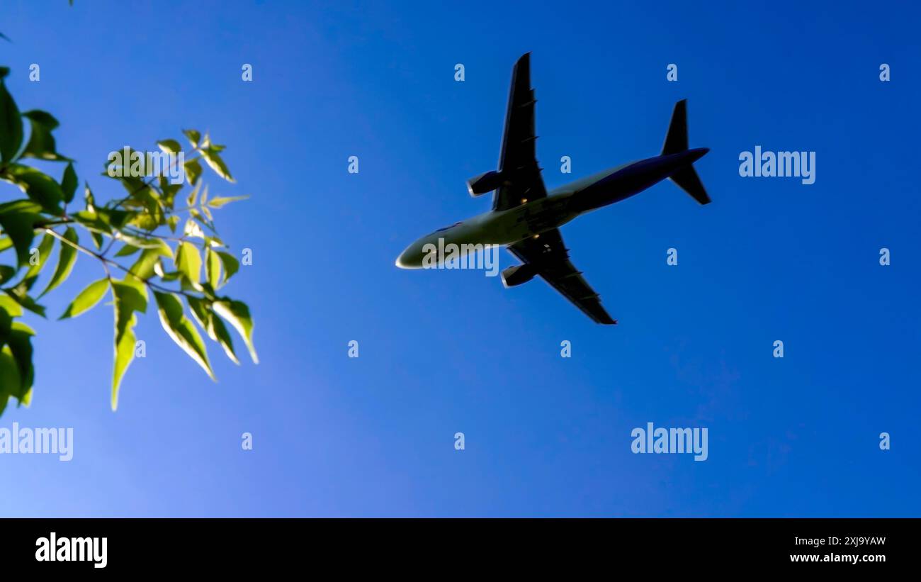 A commercial airplane flies overhead against a vibrant blue sky, with ...