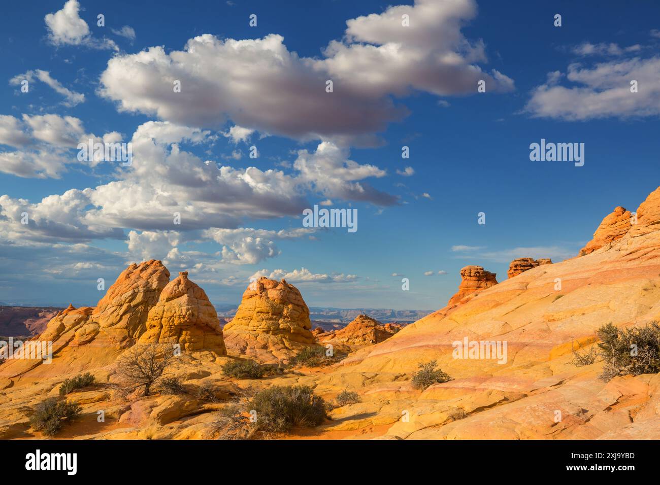 Coyote Buttes of the Vermillion Cliffs Wilderness Area, Utah and ...