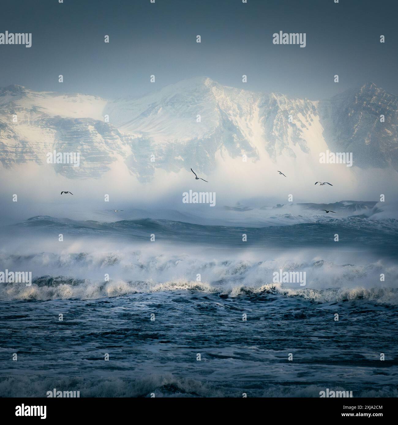 Sqare format hi-res stock photography and images - Alamy