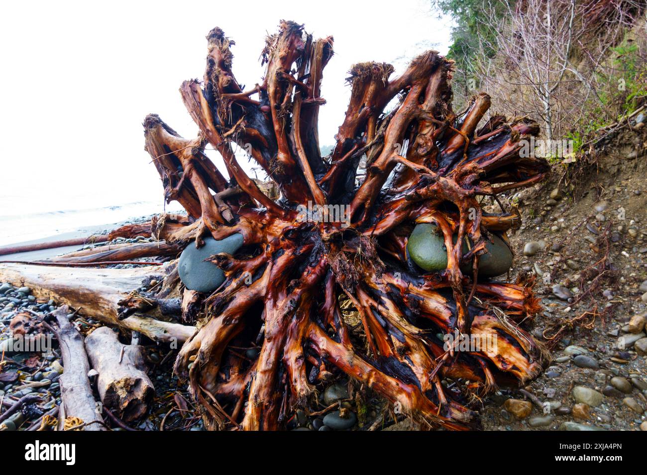 Interwoven ball hi-res stock photography and images - Alamy