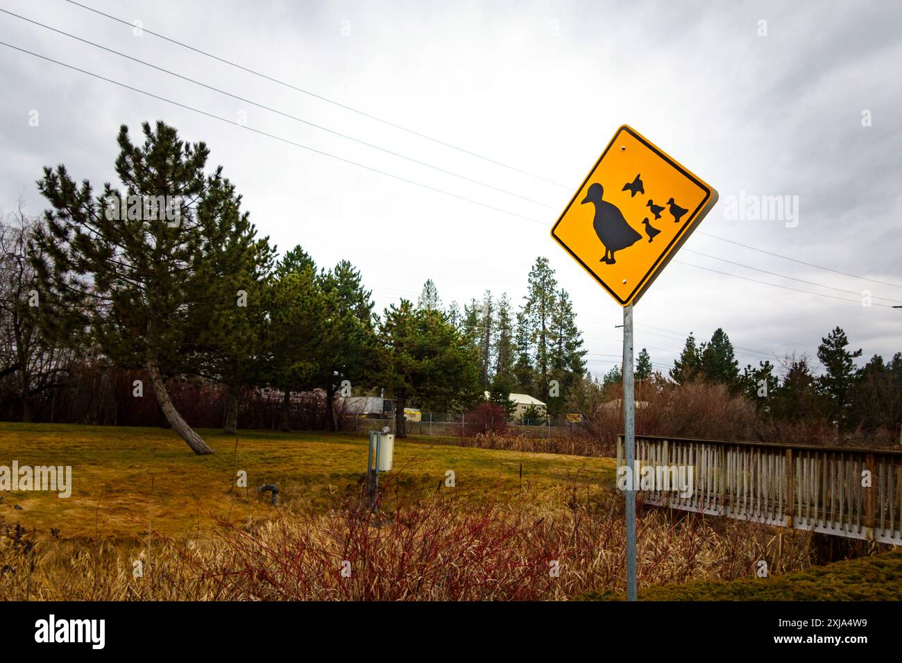 Family crossing footbridge hi-res stock photography and images - Alamy