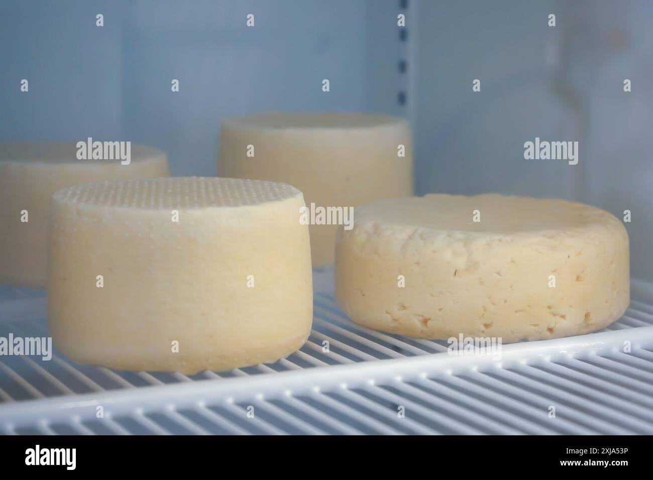 Aging Cheese Wheels on Shelves in a Controlled Environment, essential ...