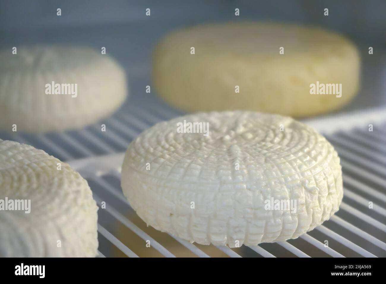 Aging Cheese Wheels on Shelves in a Controlled Environment, essential ... Aging Cheese Wheels on Shelves in a Controlled Environment, essential ...