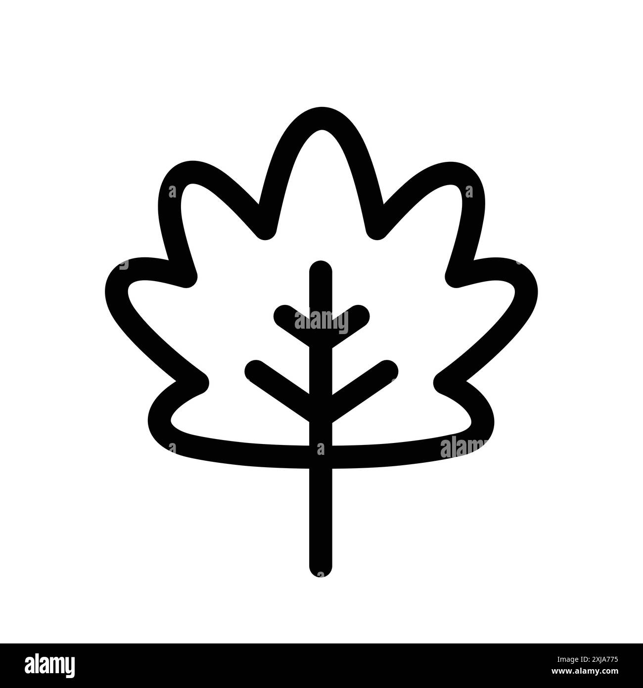 Maple leaf icon set in thin line outline style and linear vector sign ...
