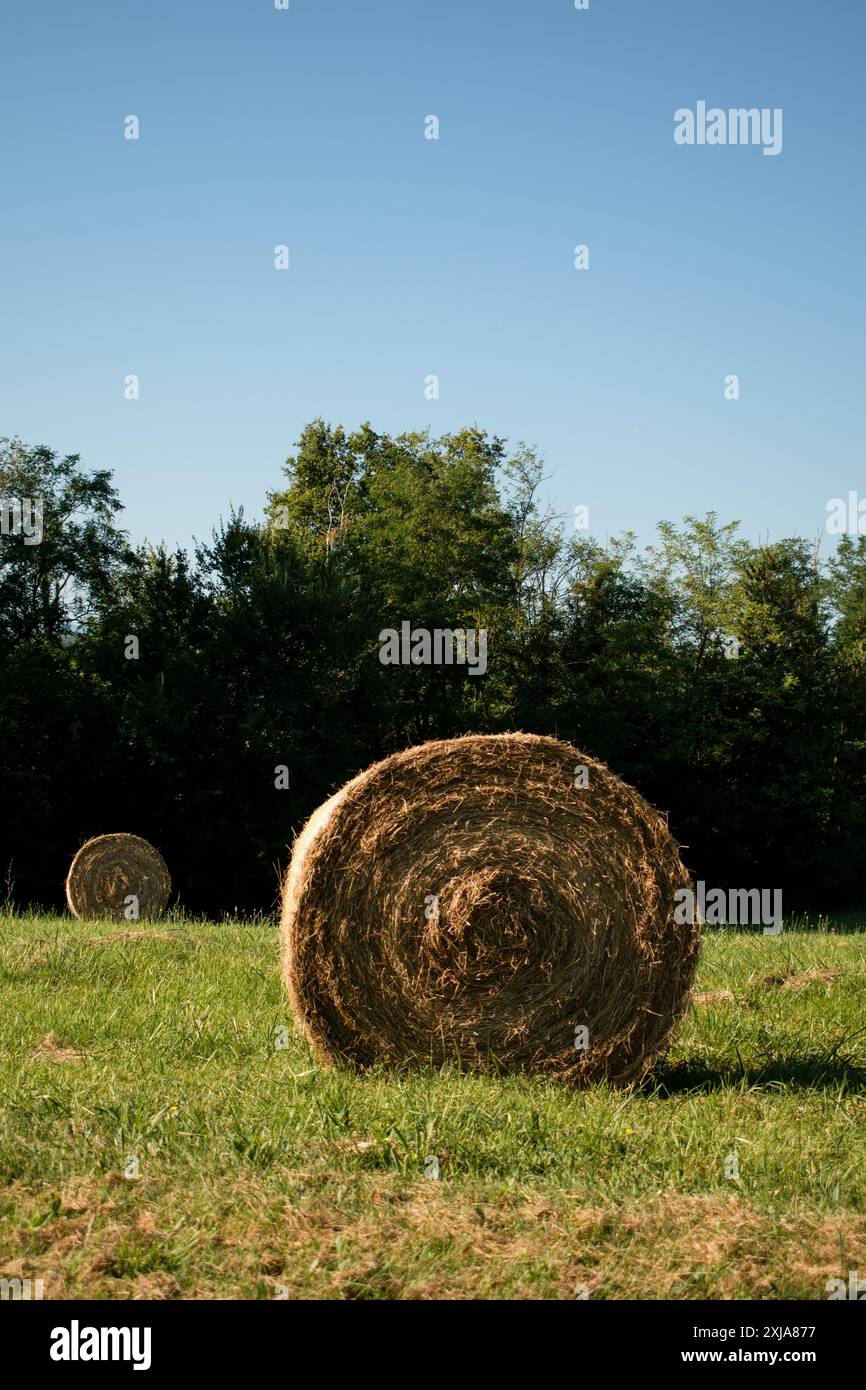Hay bay rolls hi-res stock photography and images - Alamy