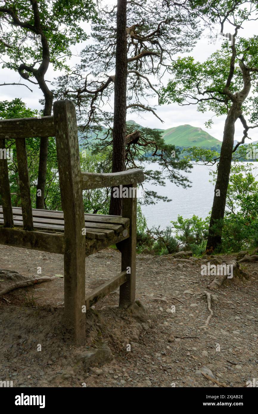 A weathered wooden bench sits on a gravel path overlooking a serene ...