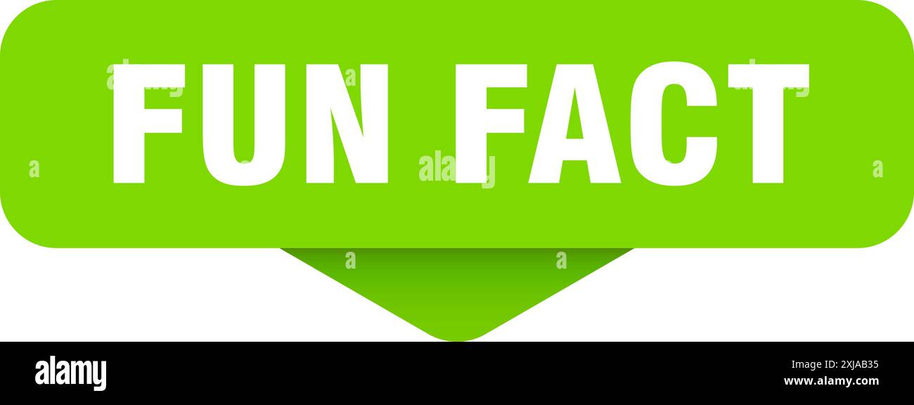 fun fact sticker. fun fact sign on transparent background. rectangular ...