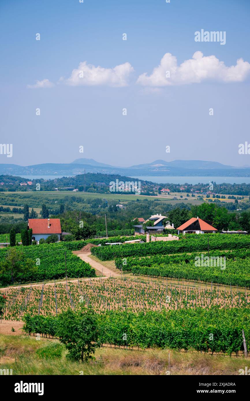Beautiful Balaton panorama, with fields and houses in the foreground ...