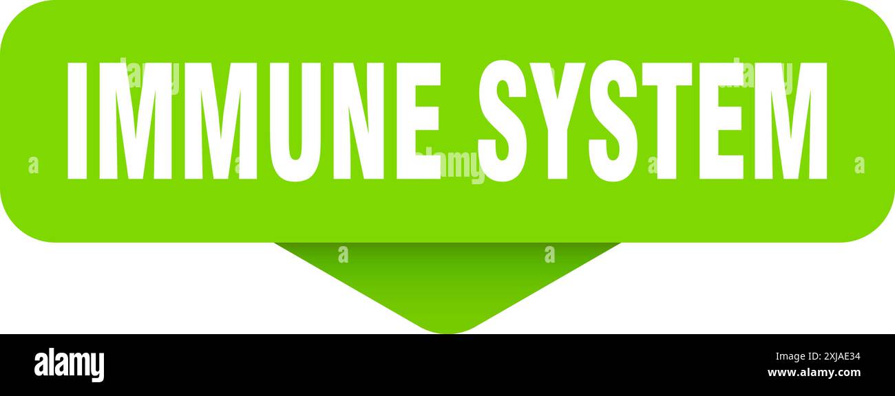 immune system sticker. immune system sign on transparent background ...