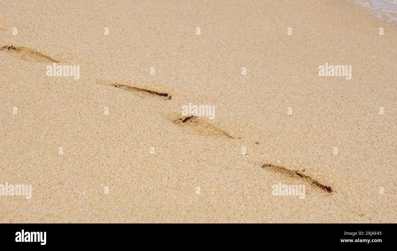 Human footprints on surface hi-res stock photography and images - Alamy