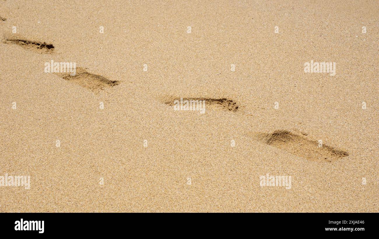 Human footprints on brown beach sand Stock Photo - Alamy
