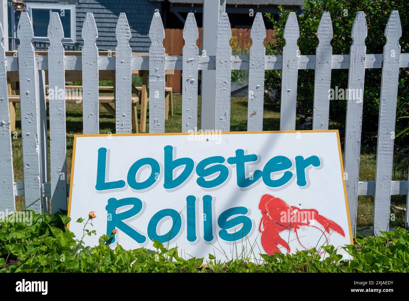 Sign for lobster rolls, Peaks Island, Maine Stock Photo - Alamy