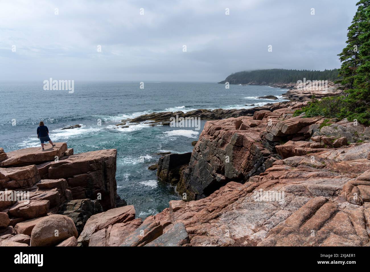 Visitor views shoreline in Acadia National Park, Maine Stock Photo - Alamy