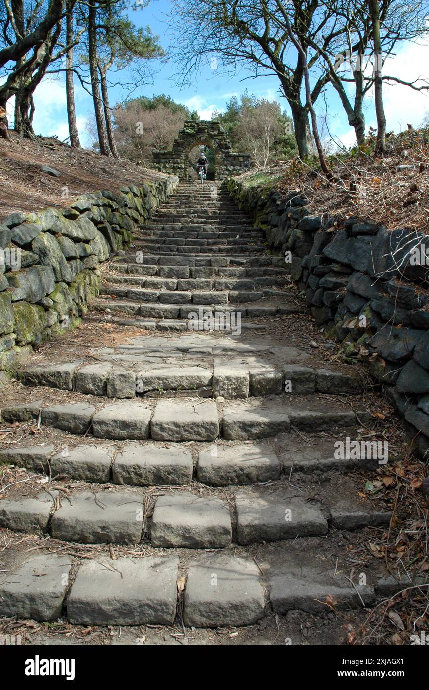 Riding a mountain Bike down steps Stock Photo - Alamy