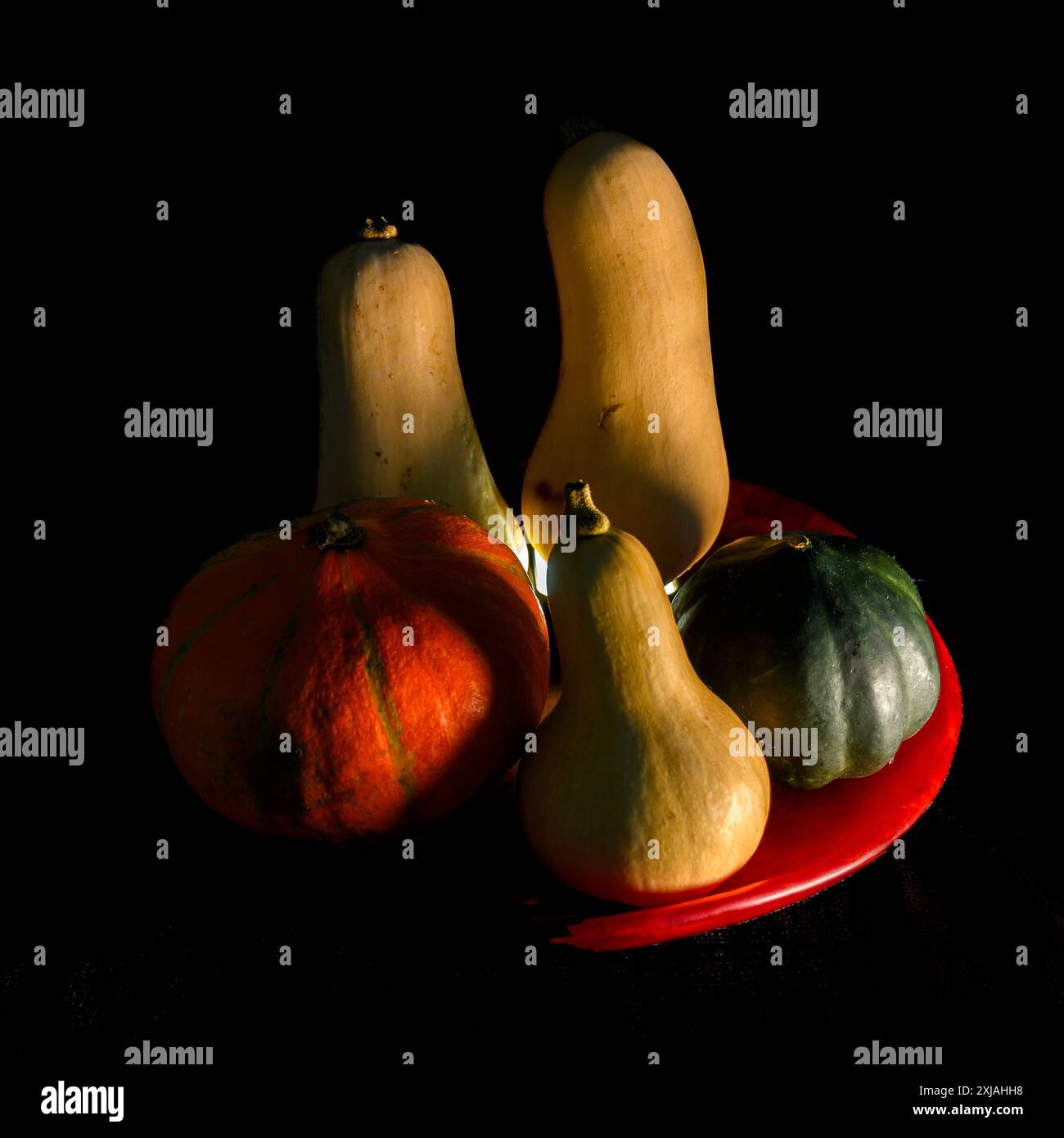 Still life with three varieties of winter squash Acorn Squash [right ...