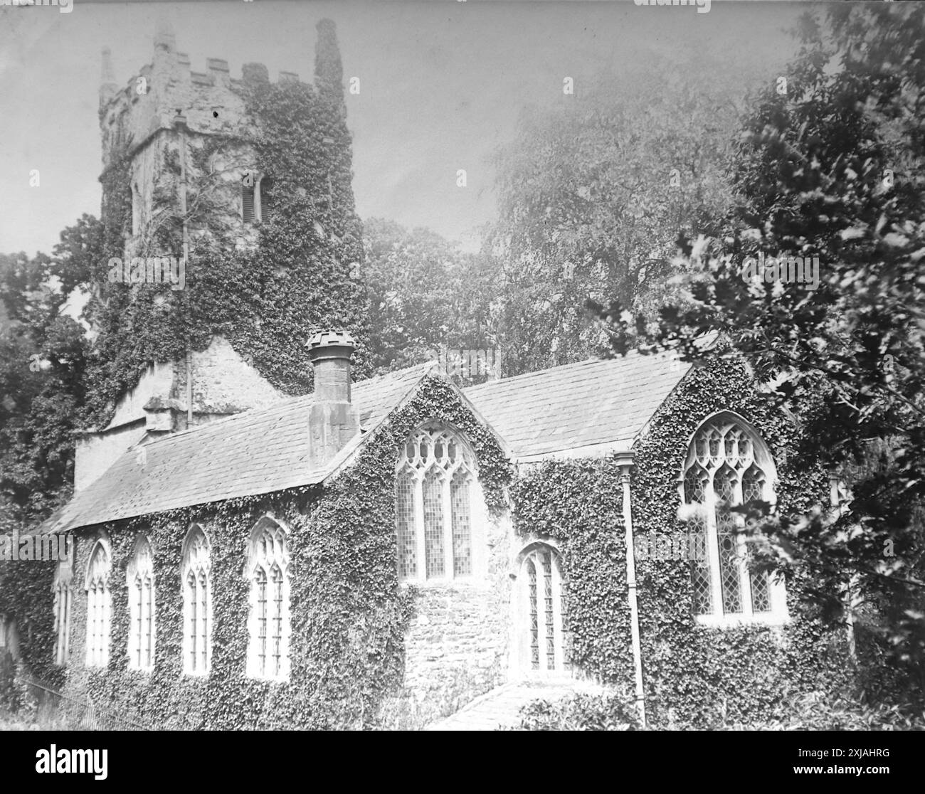 Cockington Church with much vegetation frowing on its walls, Cockington ...