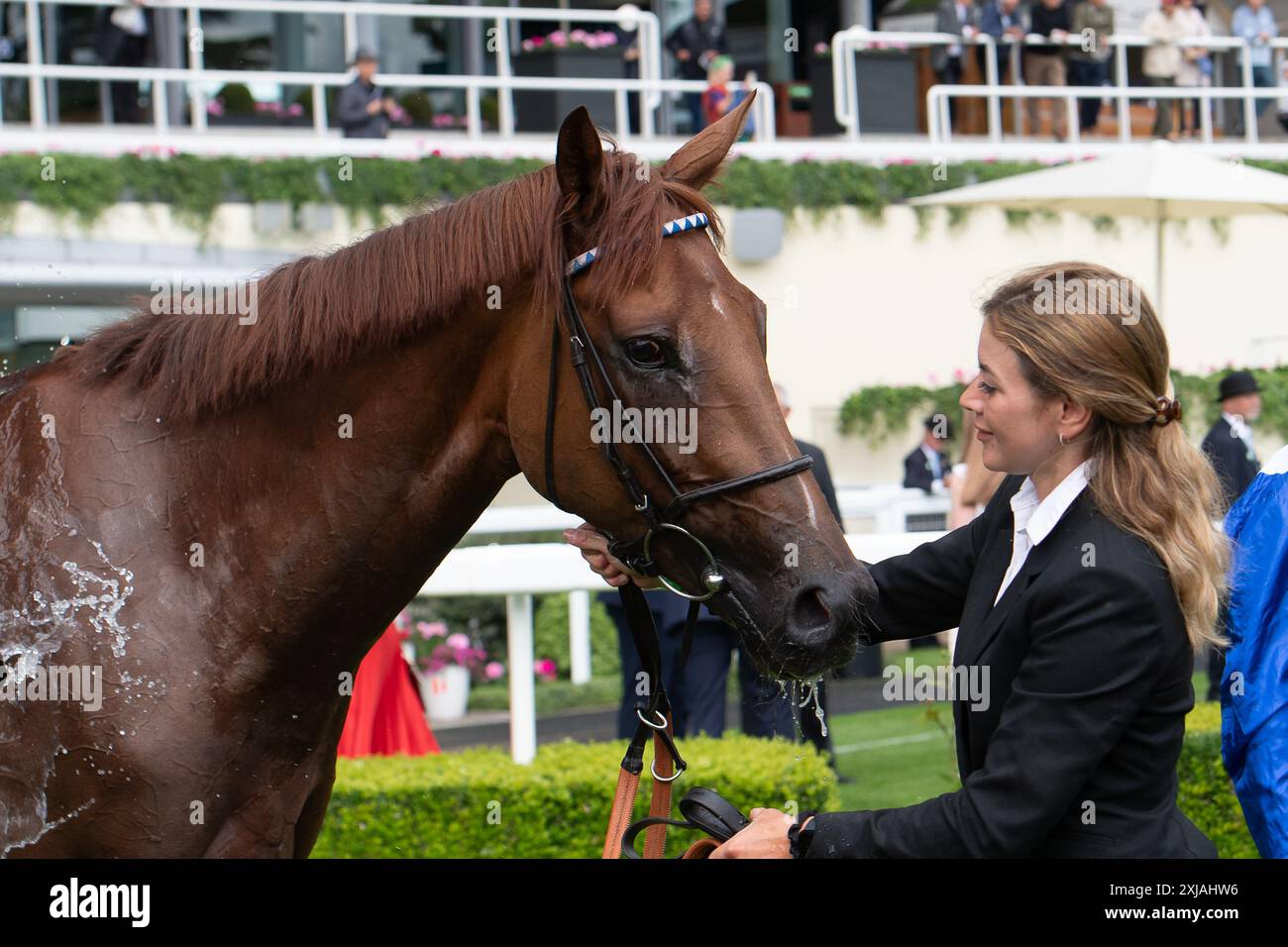 Ascot, UK. 12th July, 2024. Horse Ya Hafhd ridden by jockey Jack ...