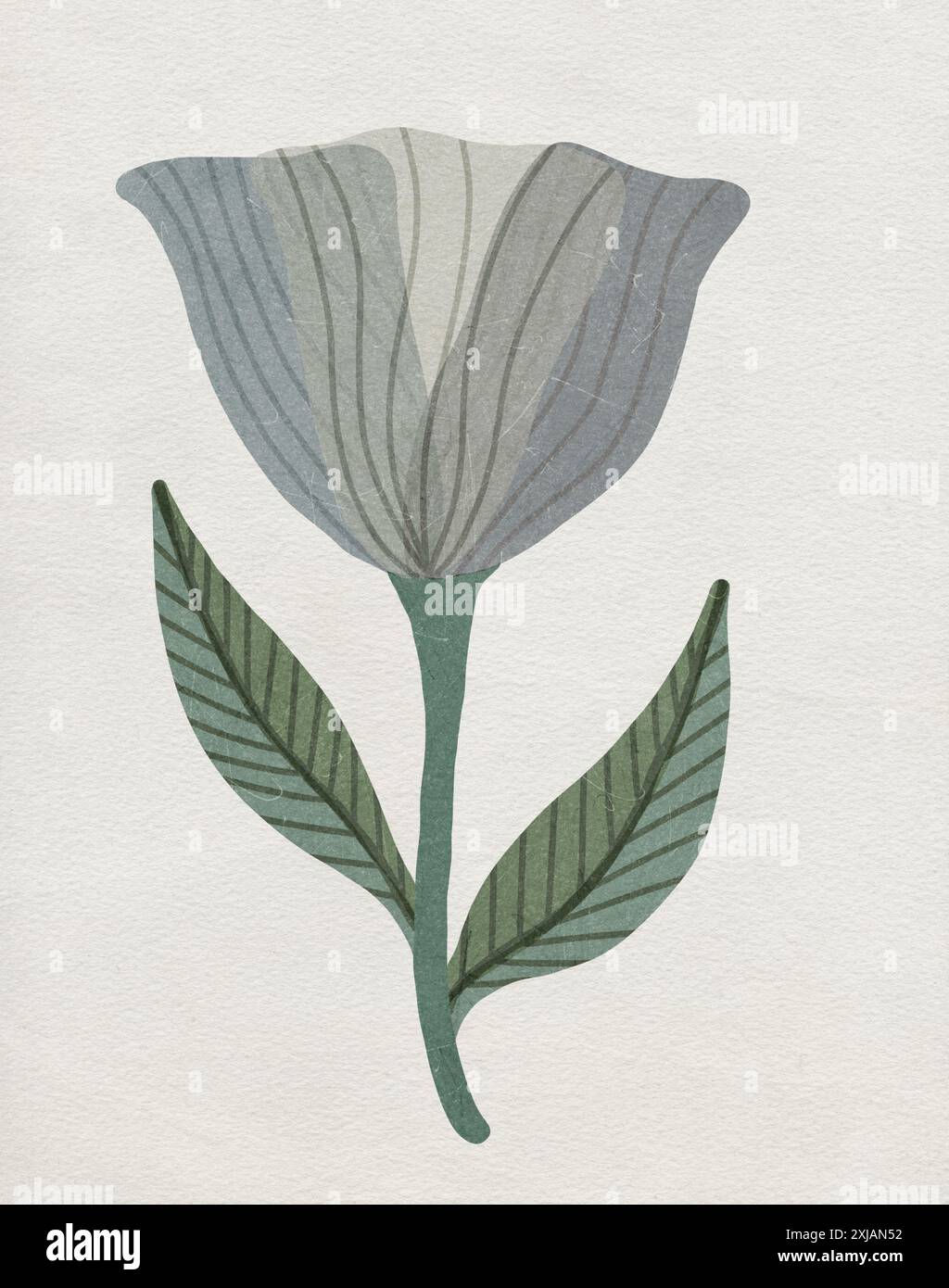 Illustrated botanical representation featuring hi-res stock photography ...