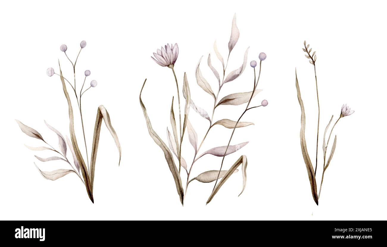 Set of watercolor fantasy botanical illustration branches and light ...