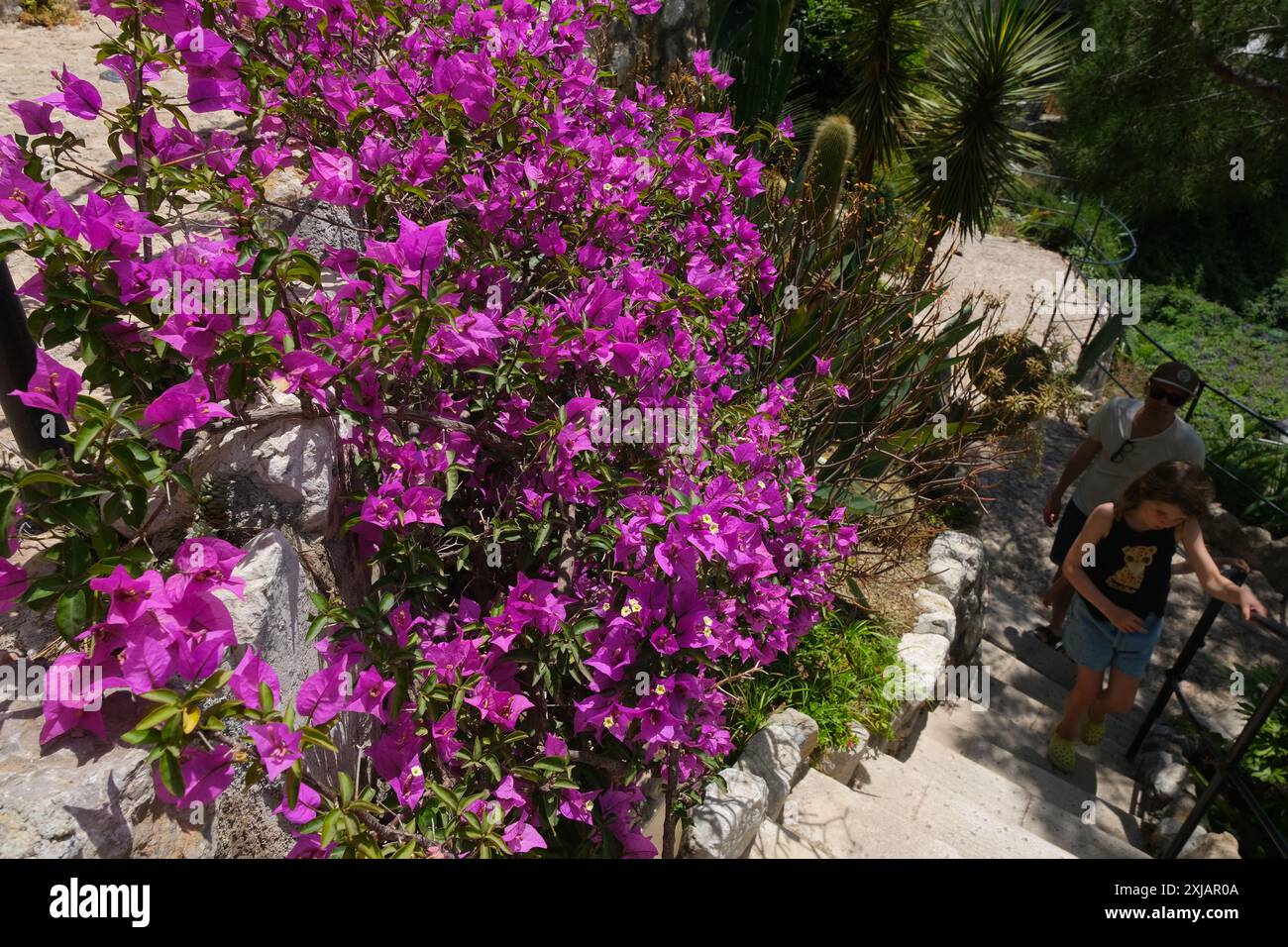 Botanical walk in the exotic garden of EZE, medieval village of the ...