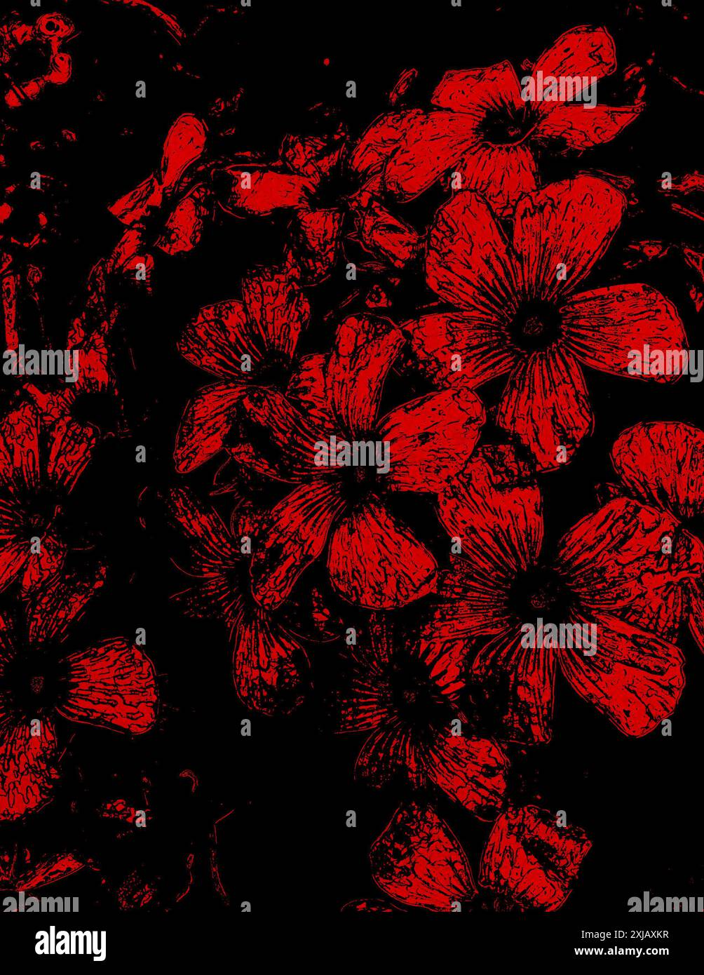 Art print, red flower petals, flower heads, set against a black ...